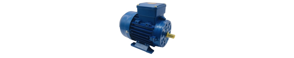 Single-phase electric motor high starting torque 230V 50Hz 3000 rpm B3 ...