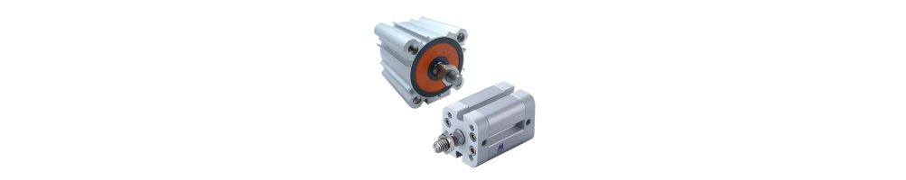 Compact double acting pneumatic cylinders diameter 100 | ADAJUSA