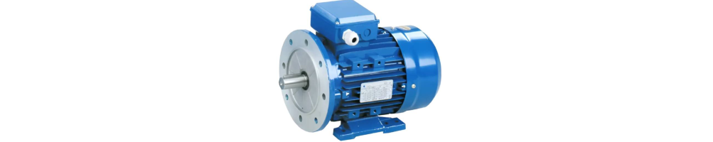 Aluminum asynchronous electric motor 2 poles 3000 rpm three-phase legs ...