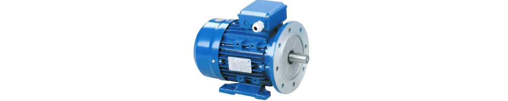 Single-phase electric motor high starting torque 230V 1500 rpm flange ...